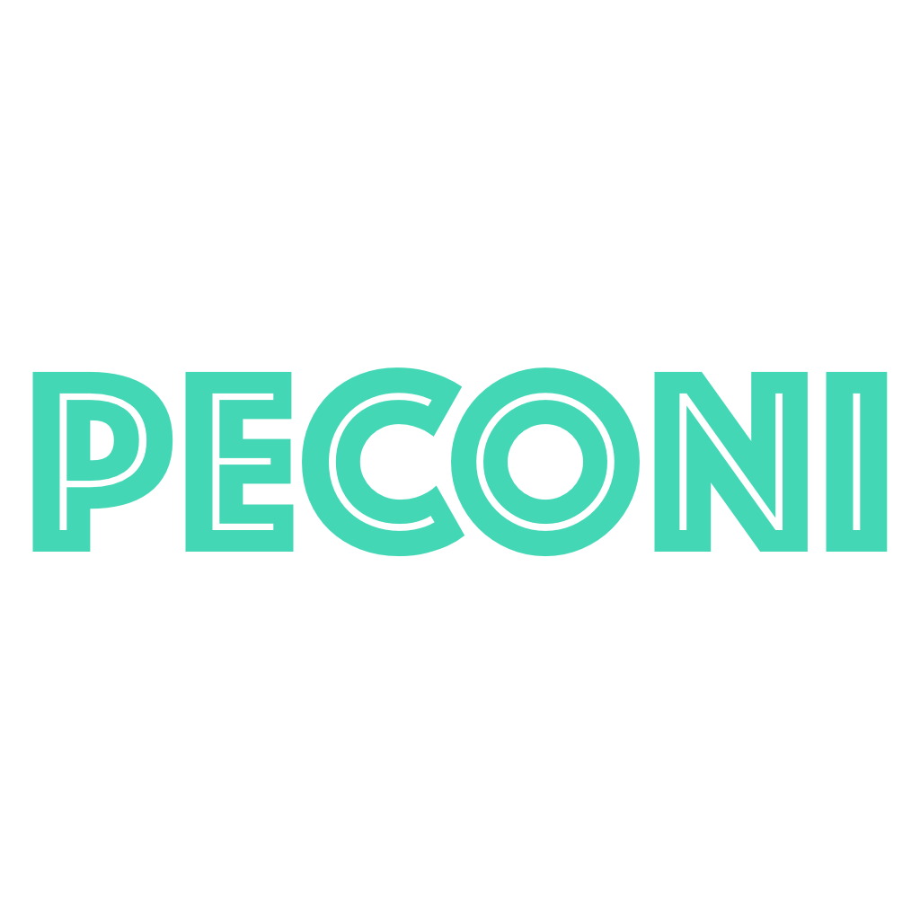 Peconi – Offshore Software Development in Vietnam